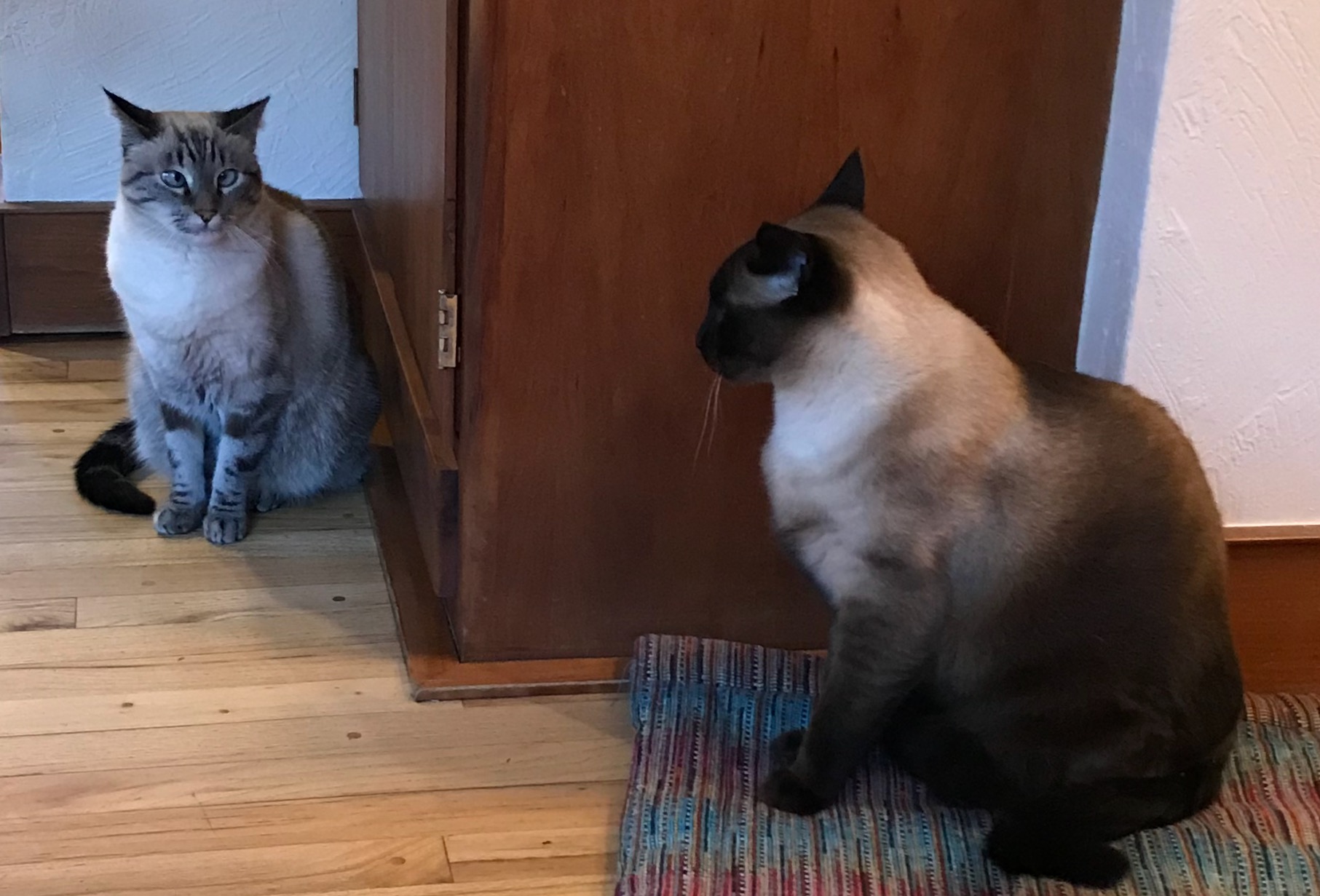 ono-choco-corner – Big Little Meals